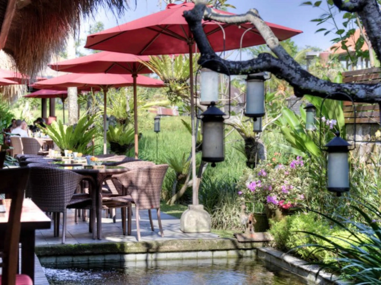 Ubud best restaurants 2024 - City Addicts